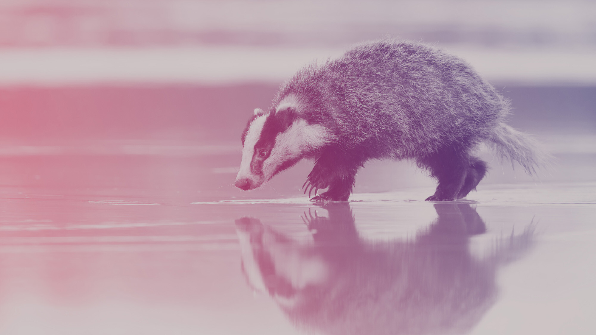 Das Arztzeugnis: Alles, was Sie wissen müssen!